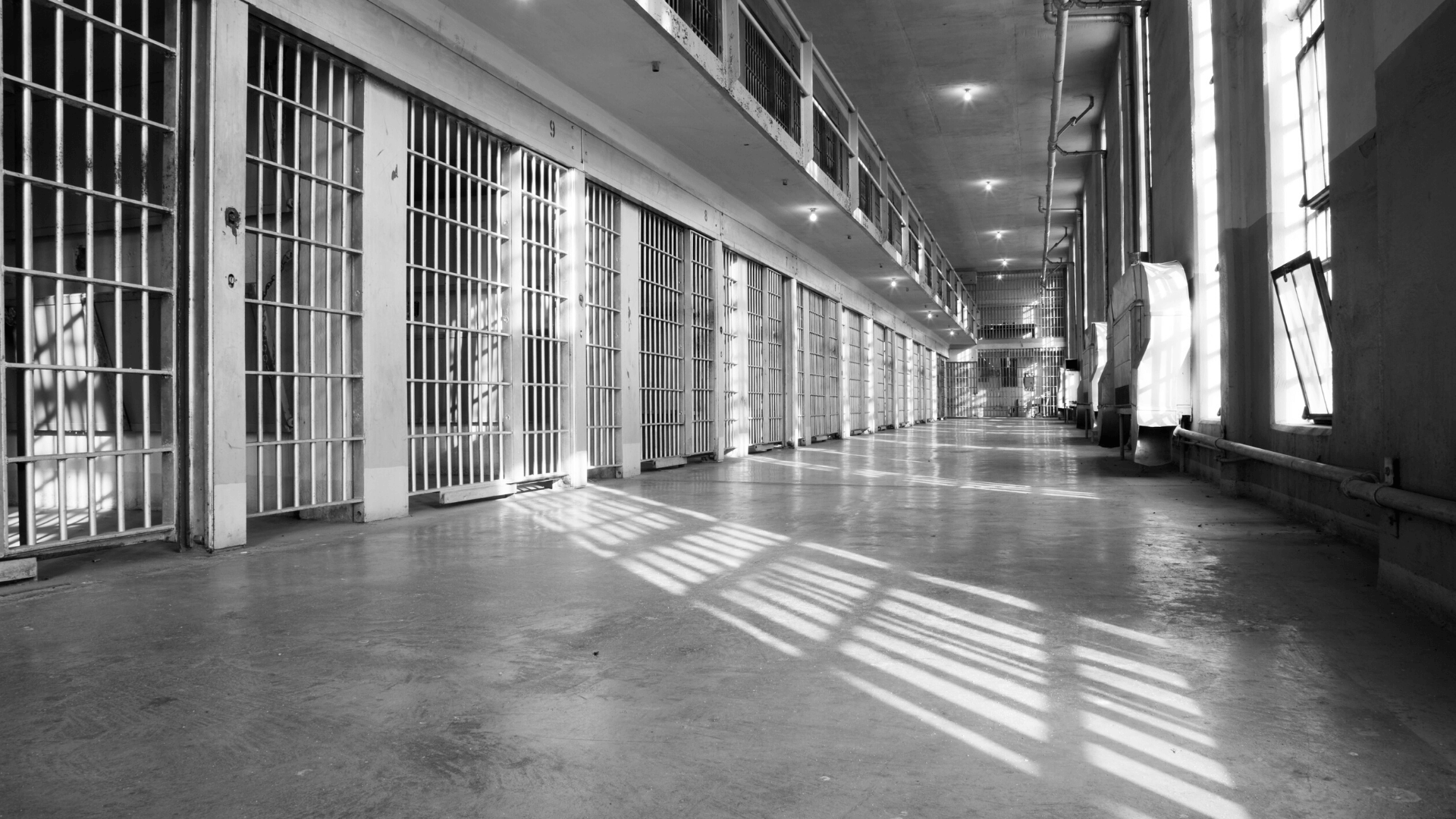 The Fight for Justice: Marty Tankleff's Story of a Coerced Confession ...